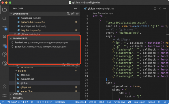 VS Code Extension – Pinned Panel - zhung_